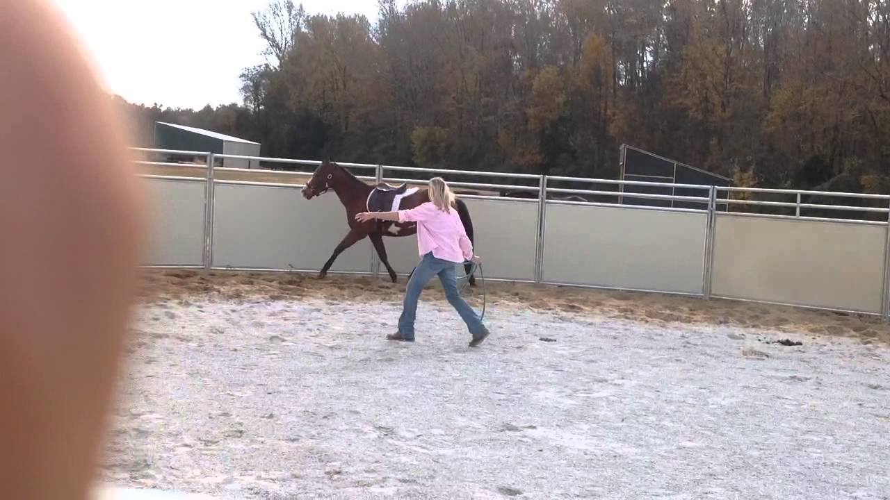 First workout with Cowboy - YouTube