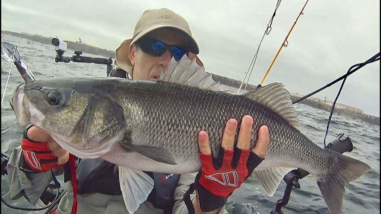Big Sea Bass Off the Coast - Trolling with lures - Kayak Fishing - 4K ...