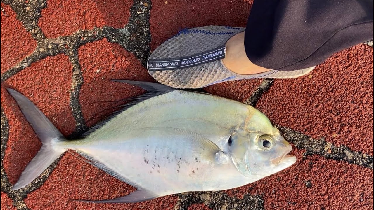 Bedok Jetty, World of One Man, Sam got all fish today - YouTube