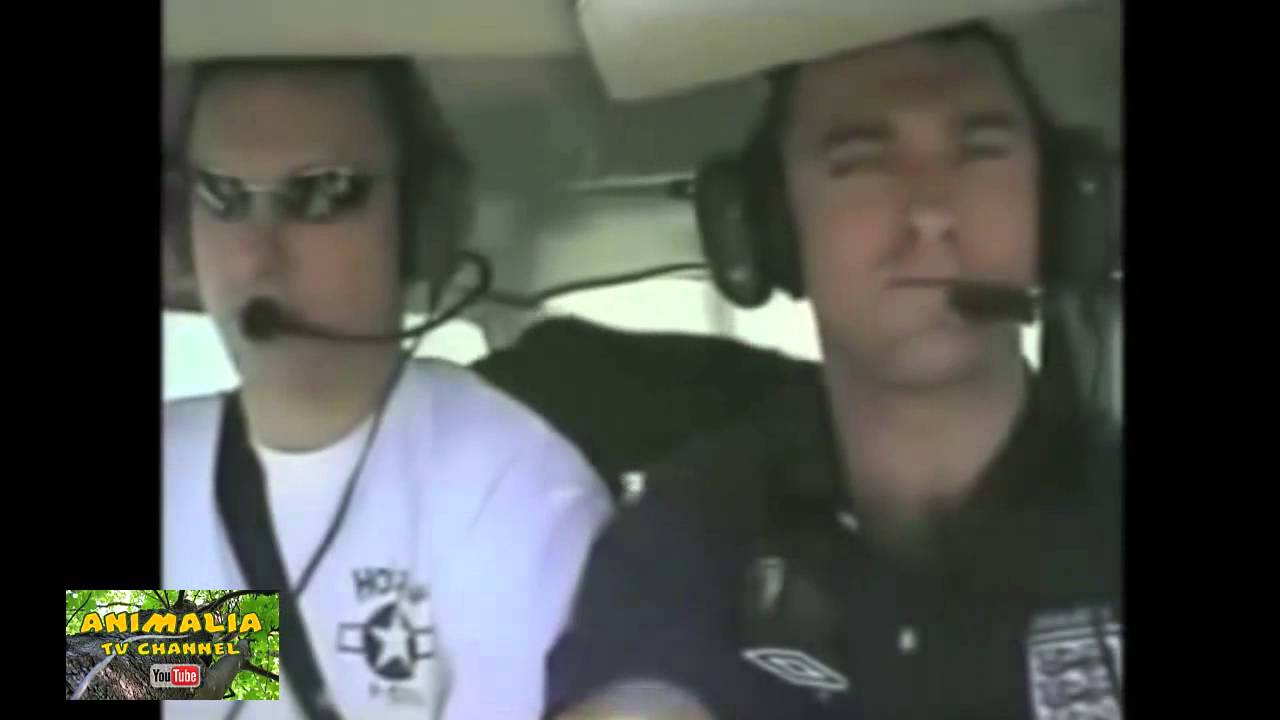 [ ANIMALIA TV Channel ] HD funny video zero gravity dog must see cute ...