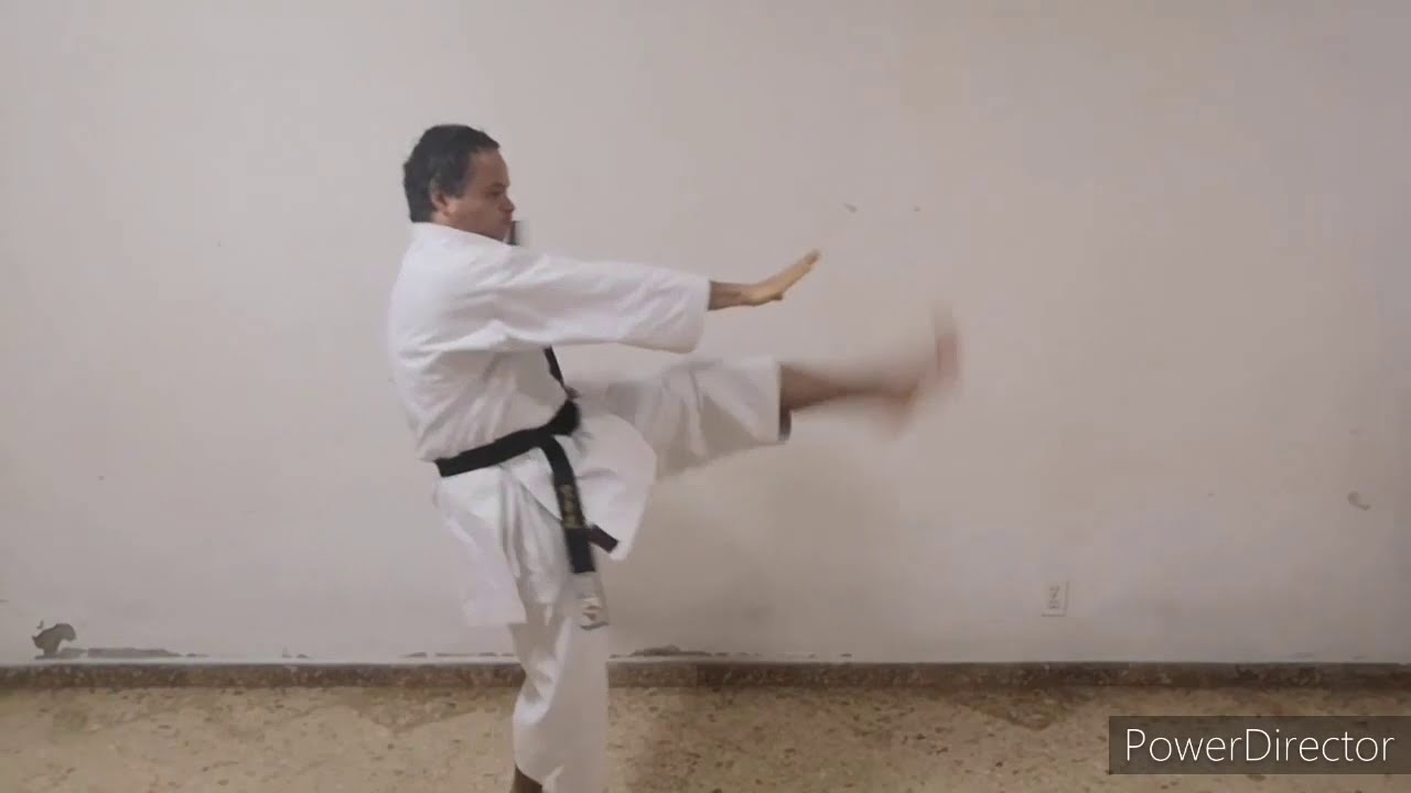 Gyaku zuki Mae Geri Tate Shuto Uke Intermedio Oitsuki Gedan Barai Uke ...