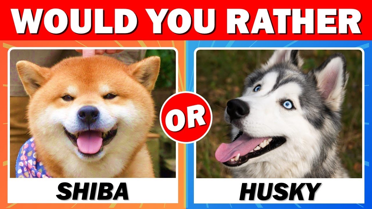 Would You Rather ? Dogs Edition 🐶 - YouTube