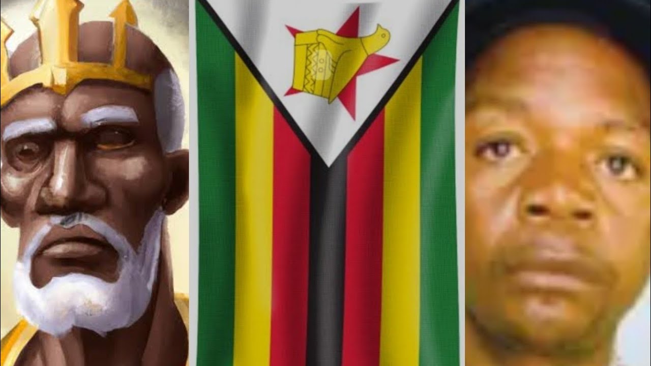 Zimbabwe now has a King, Mnangagwa government installed King ...