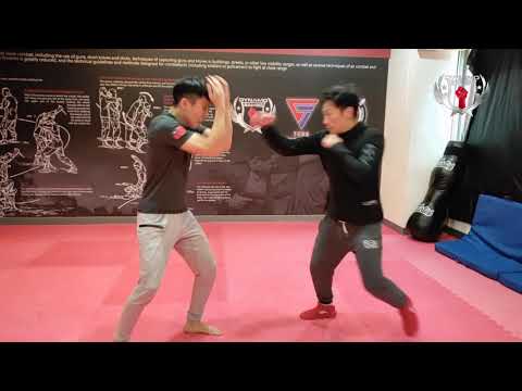 Russian Dynamo  Sambo Vadim Kolganov system basic course