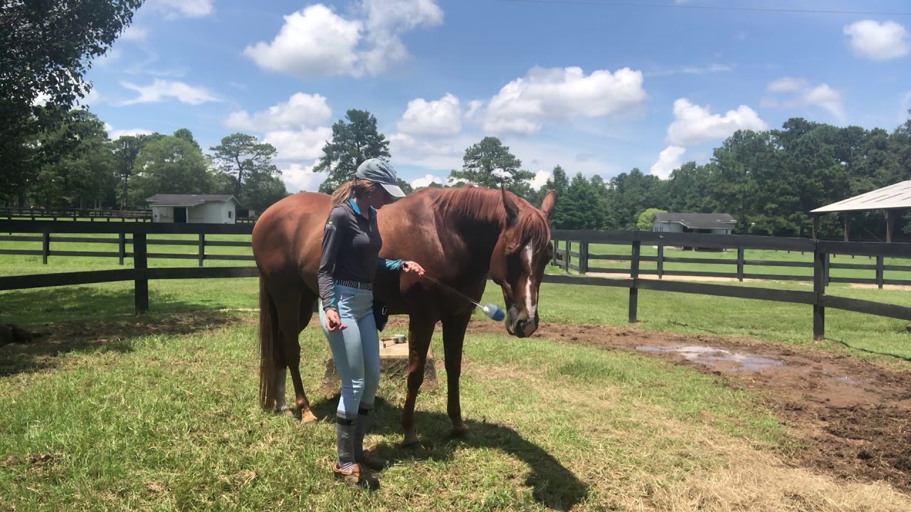 Romeo +R Training//Backing Up - YouTube