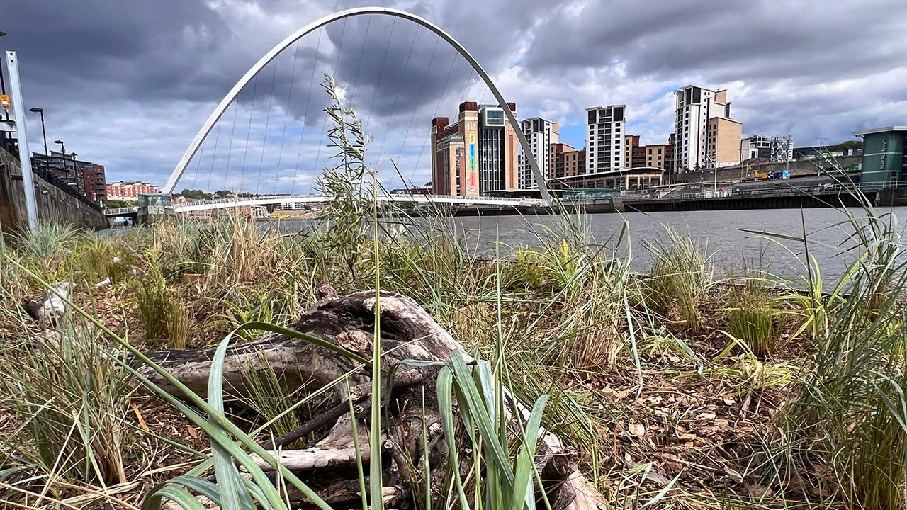 First Tidal Floating Ecosystem on the River Tyne - YouTube