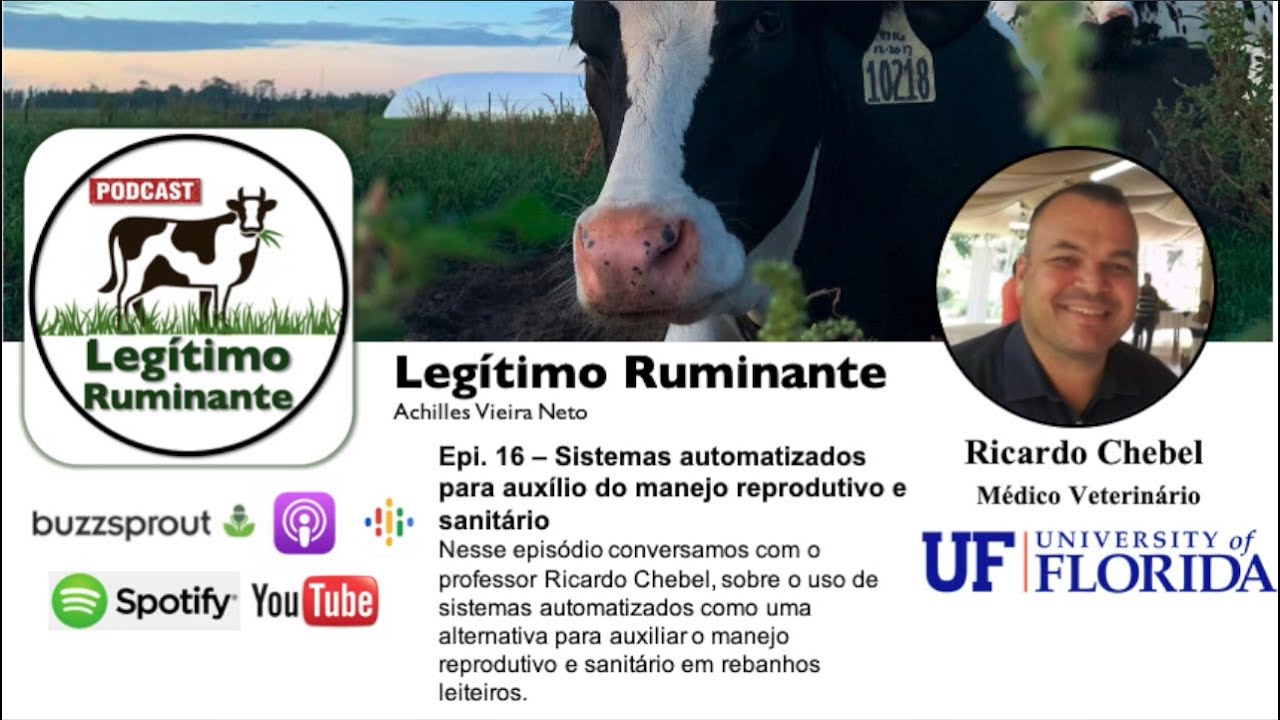 Epi. 16 - Sistemas Automatizados de Monitoramento / Ricardo Chebel ...