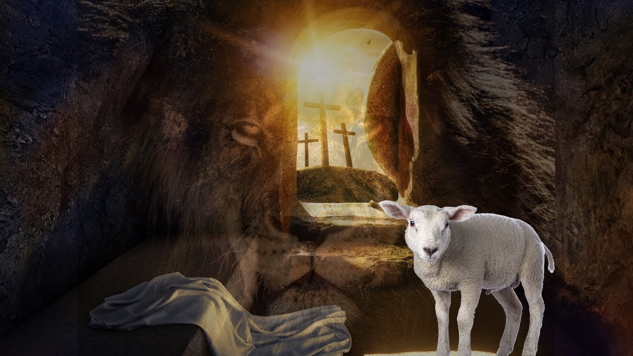 John 3 | Bible study - YouTube