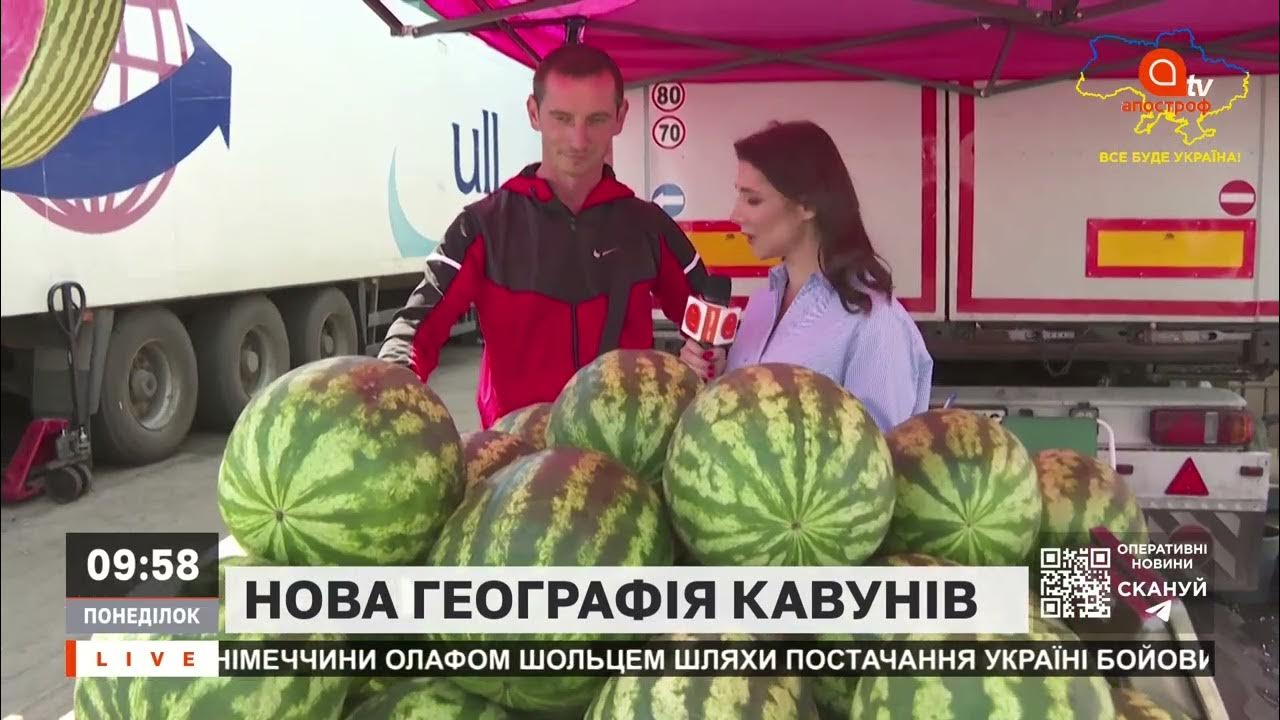 КАВУНИ ХЕРСОНСЬКІ ЧИ КИЇВСЬКІ Як змінилась географія кавунів та які