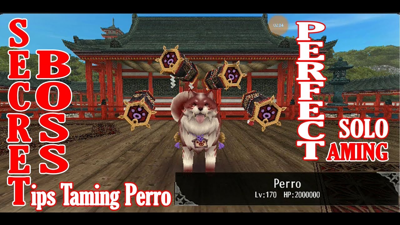 Toram Online: Secret Boss and Easy Taming Perro - YouTube