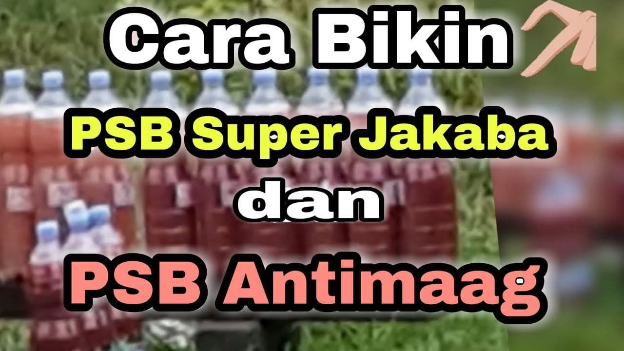 PSB Super Jakaba dan PSB Plus Cara Jepang dan Thailand - YouTube