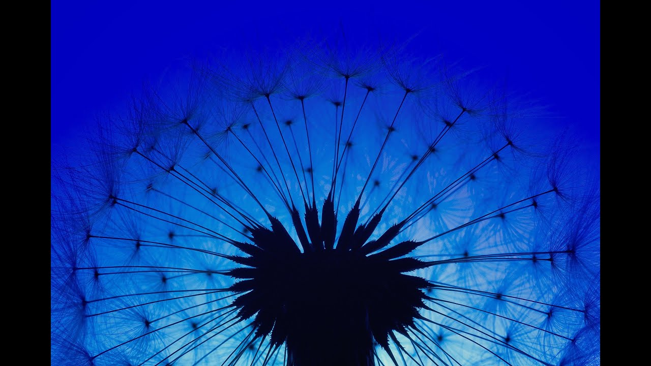 Soothing Sounds with the Color BLUE - YouTube