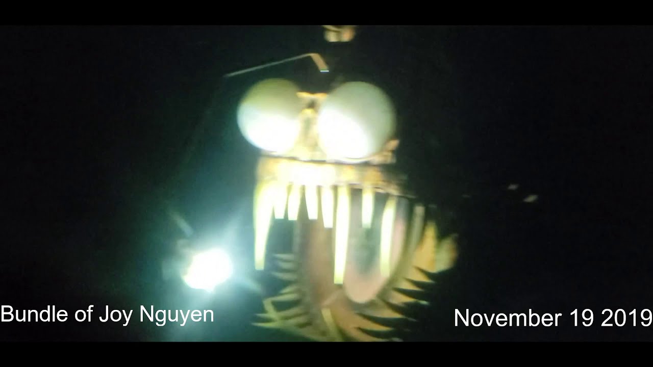 Disney World, Finding Meno Submarine Voyage - YouTube