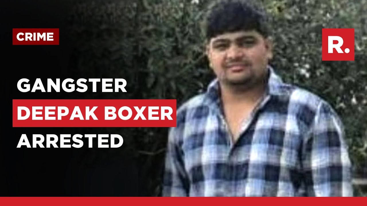 Gangster Deepak Boxer brought to India after arrest in Mexico| Watch ...