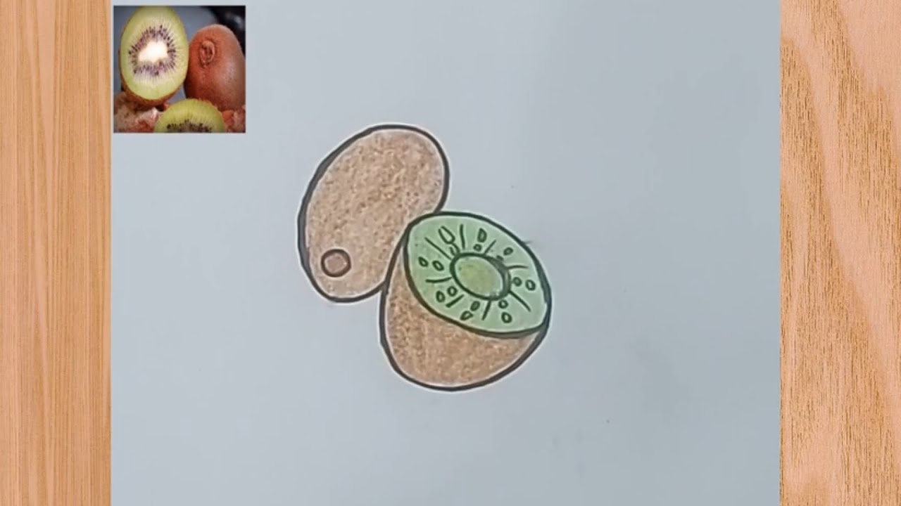 How to Draw Kiwi 🥝 step by step | Kiwi Drawing - YouTube
