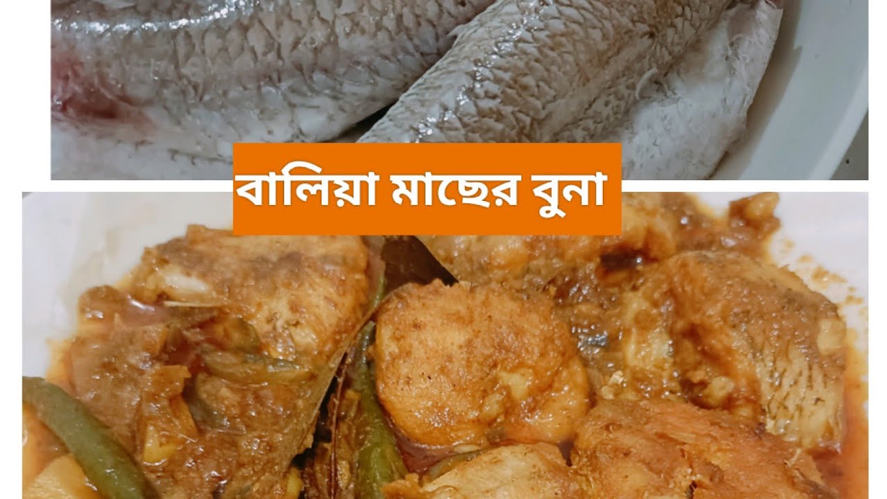 বালিয়া মাছের বুনা /বালিয়া মাছ/ how to make balia fish/@sumi4 - YouTube