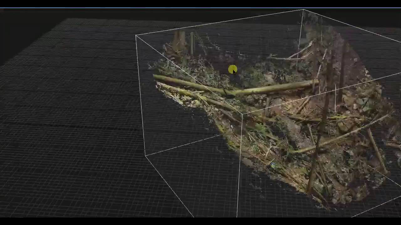 RealityCapture photogrammetry 3d scan of Forest part 1 - YouTube