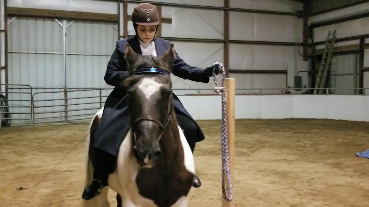 COVID-19 Virtual Show 25. Trail over Obstacles Andrea Marcinkus and ...