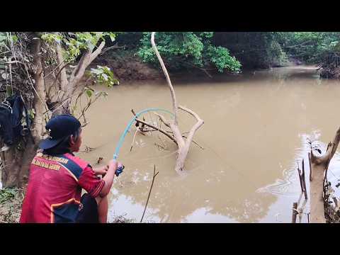 Mancing saat sungai mulai keruh..!! Ternyata gacor pakai umpan cacing