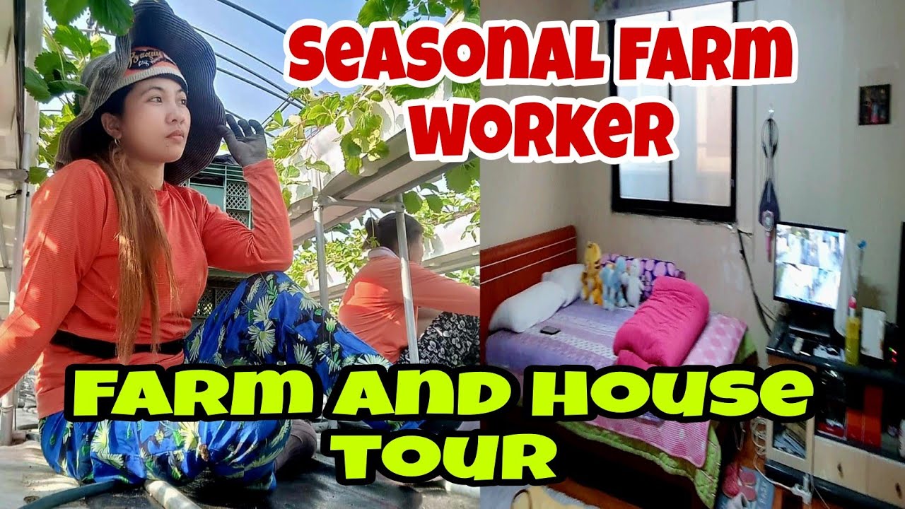 Farm tour | Piggery and Green house | Seasonal farm worker house tour #workabroad #farming - YouTube