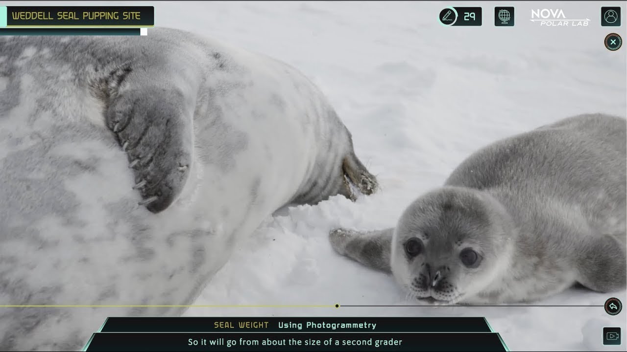 Polar Lab Trailer I NOVA I PBS - YouTube