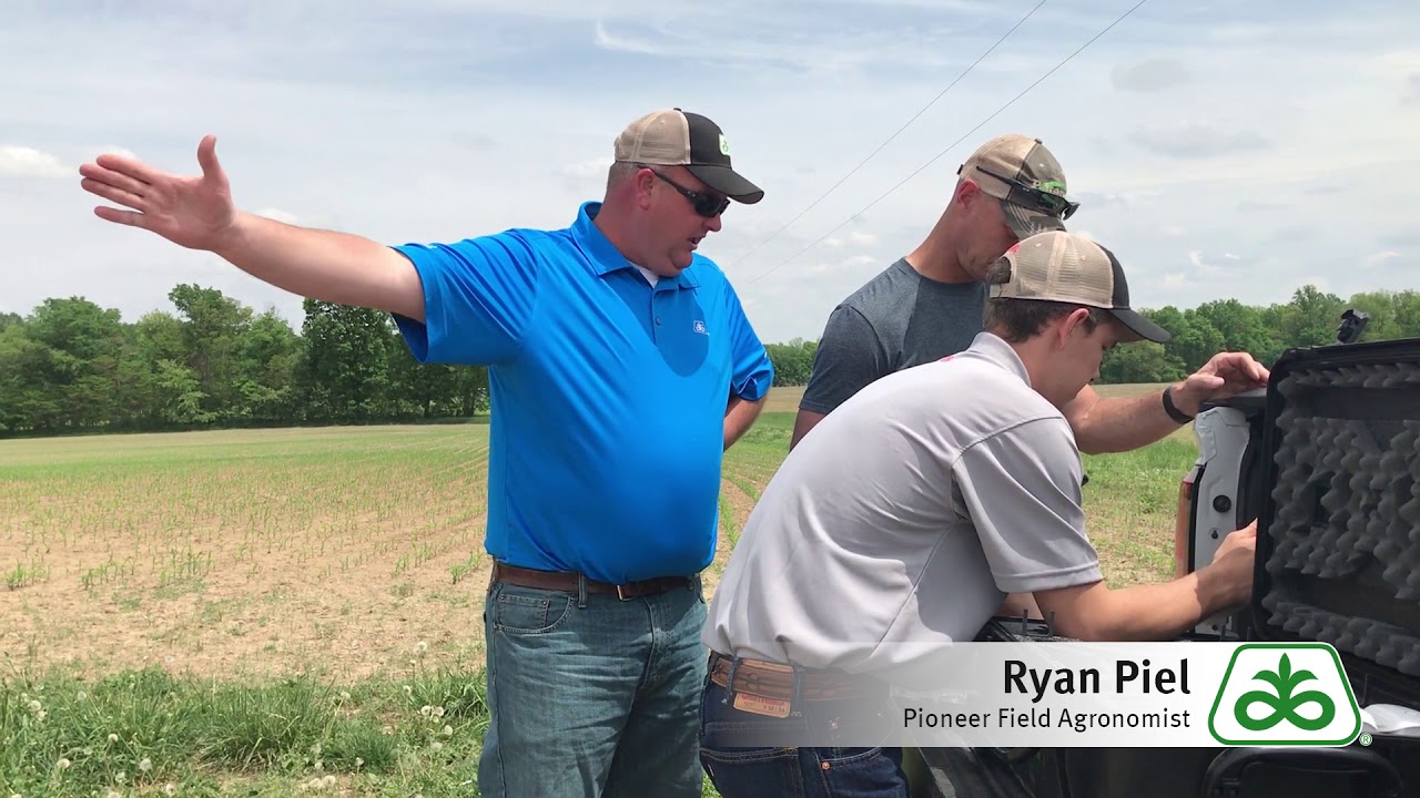 UAV Corn Stand Counts - YouTube