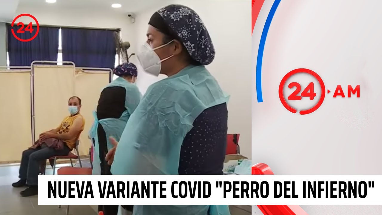 Perro del infierno: Qué es y cuáles son los síntomas de la nueva ...