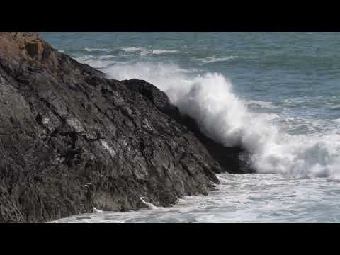 Sasa Serap - Yol Şarkıları | Hareketli Şarkılar #sasaserap #sasa