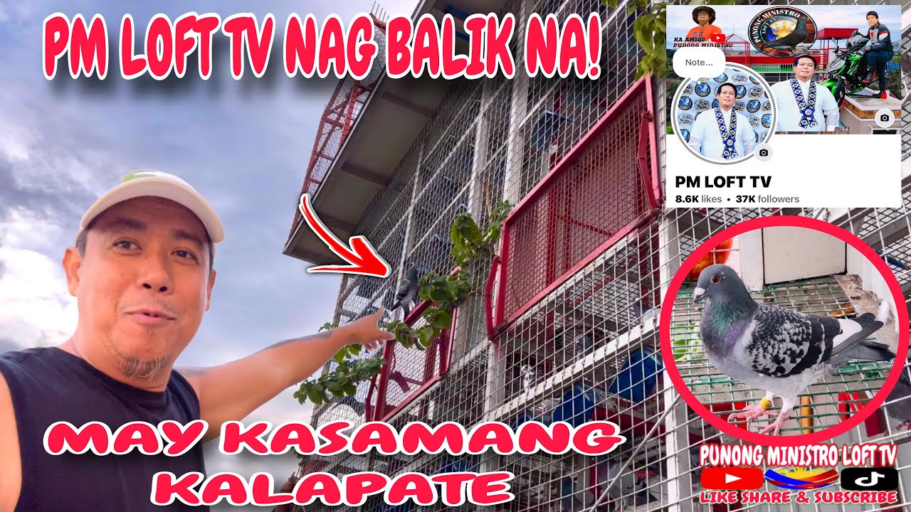 EP855 - PM LOFT TV IS BACK MAY DALANG KALAPATI SA LOFT! - YouTube