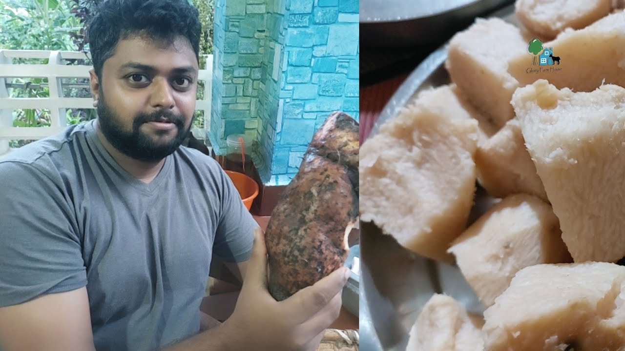 കാച്ചിൽ പുഴുങ്ങിയതും തൈര് ചമ്മന്തിയും | GFHVlog - 14 | Kachil ...