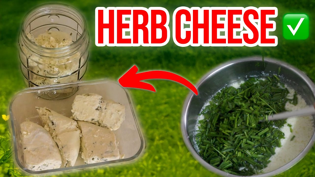 FRESH HERB CHEESE RECIPE! 🧀 1000x Tastier Than Store-Bought😍 Make ...