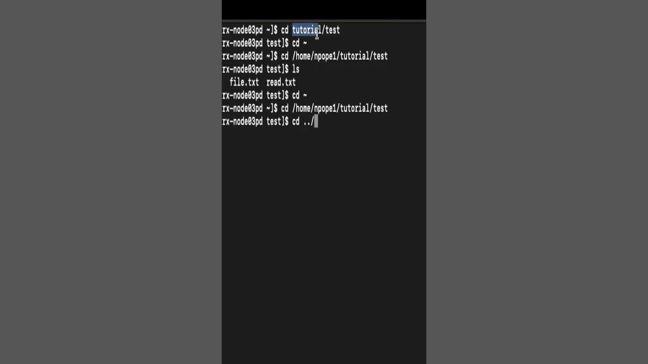 Linux File Path Shorts Computerprogramming Shellscripting Bash Bashscripting Linux Youtube 