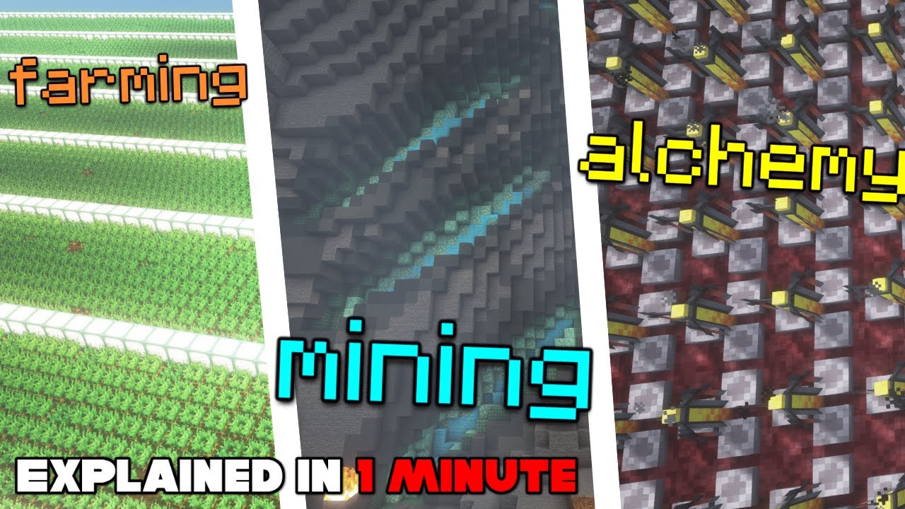 Best Way to Level Up EVERY Skill in Hypixel Skyblock || 1 Minute ...