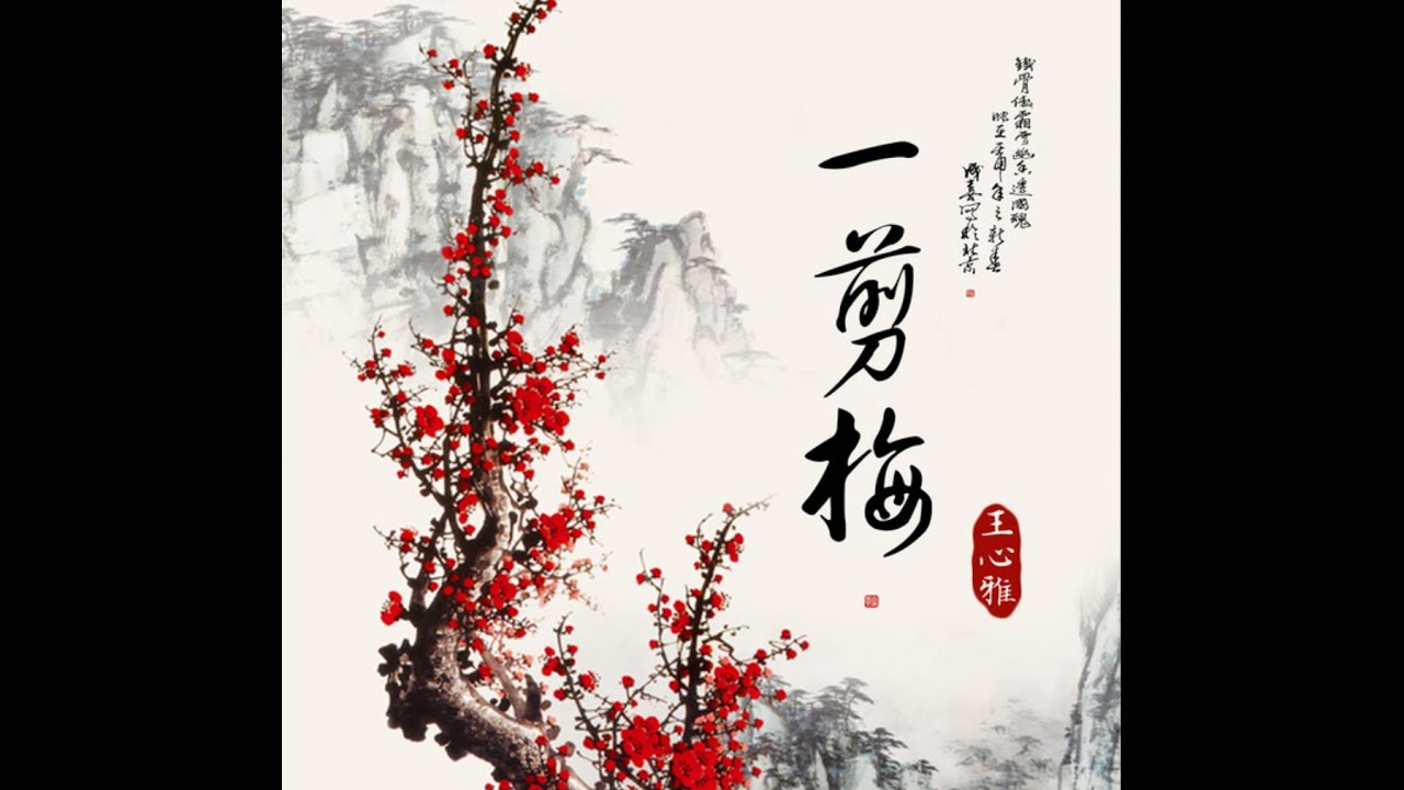 王心雅 - 一剪梅 (DJ辉总版) (ONE CUT PLUM) [DJ MIX] - YouTube