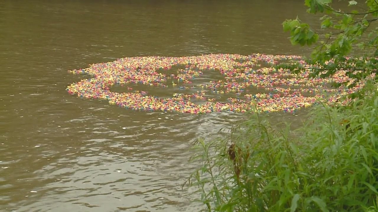 SCAN prepares for virtual duck race - YouTube