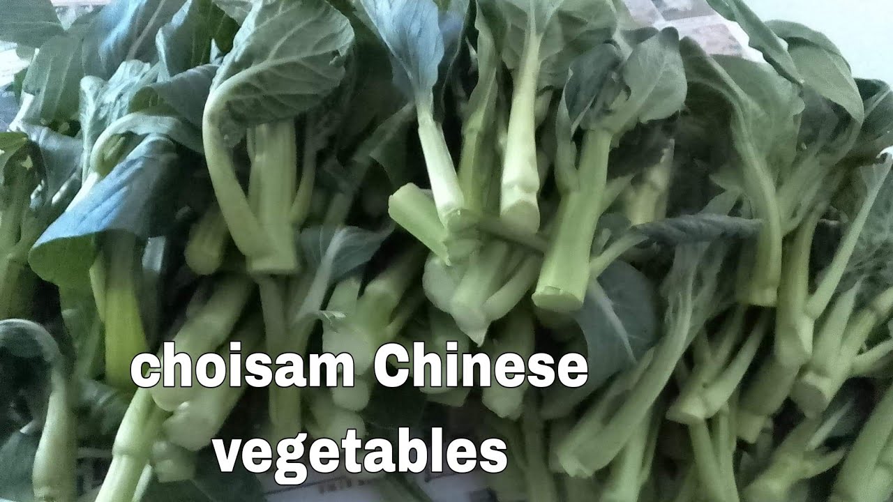 CHOISAM CHINESE VEGETABLES /Mami Lyn's Vlog - YouTube