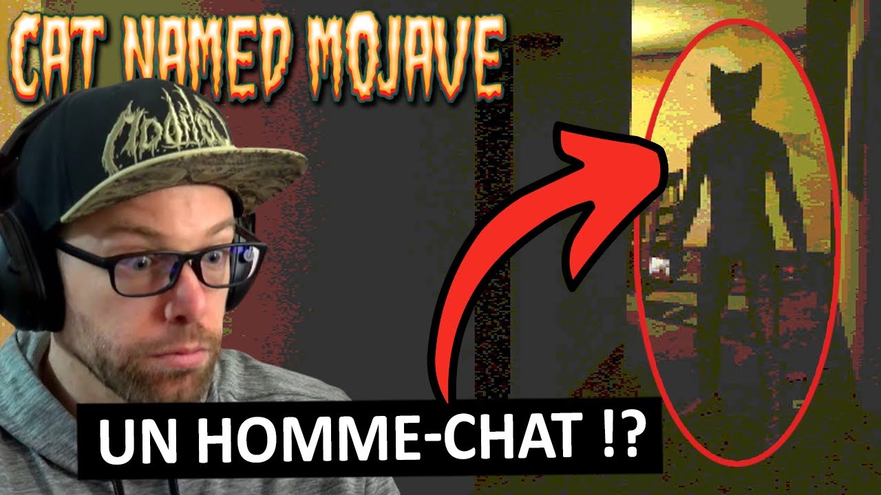 Si les Chats pouvaient parler, nous serions TOUS MORTS... | CAT NAMED ...