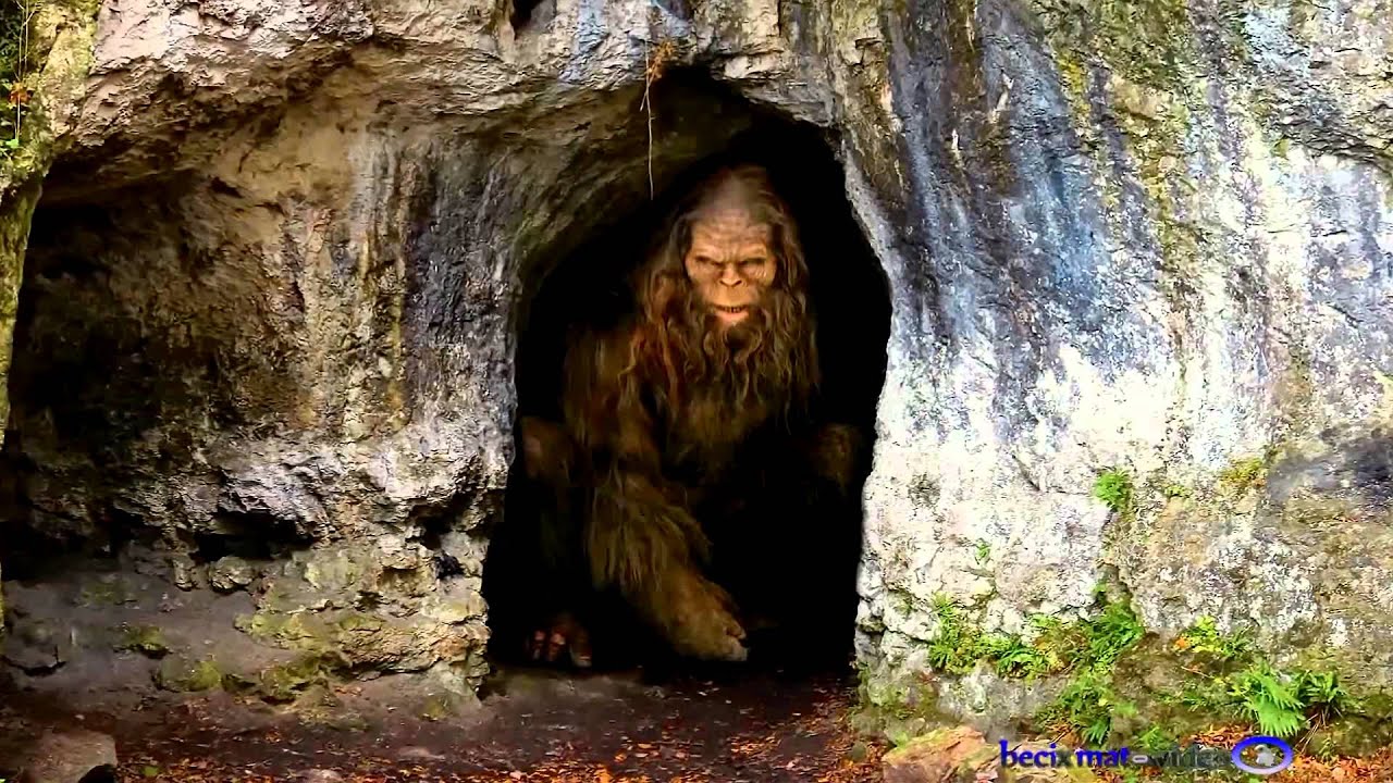 Vojto - Relax 1084 - Sasquatch - Dance - YouTube