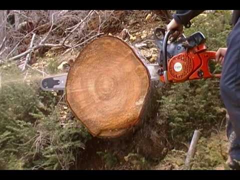 Dolmar 7900 with HD Filter Kit - YouTube