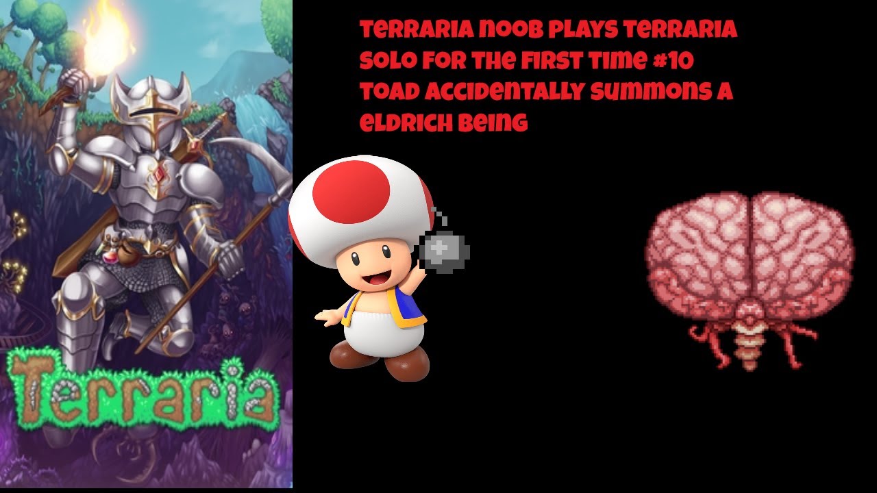 terraria noob plays terraria solo for the first time #10 toad ...