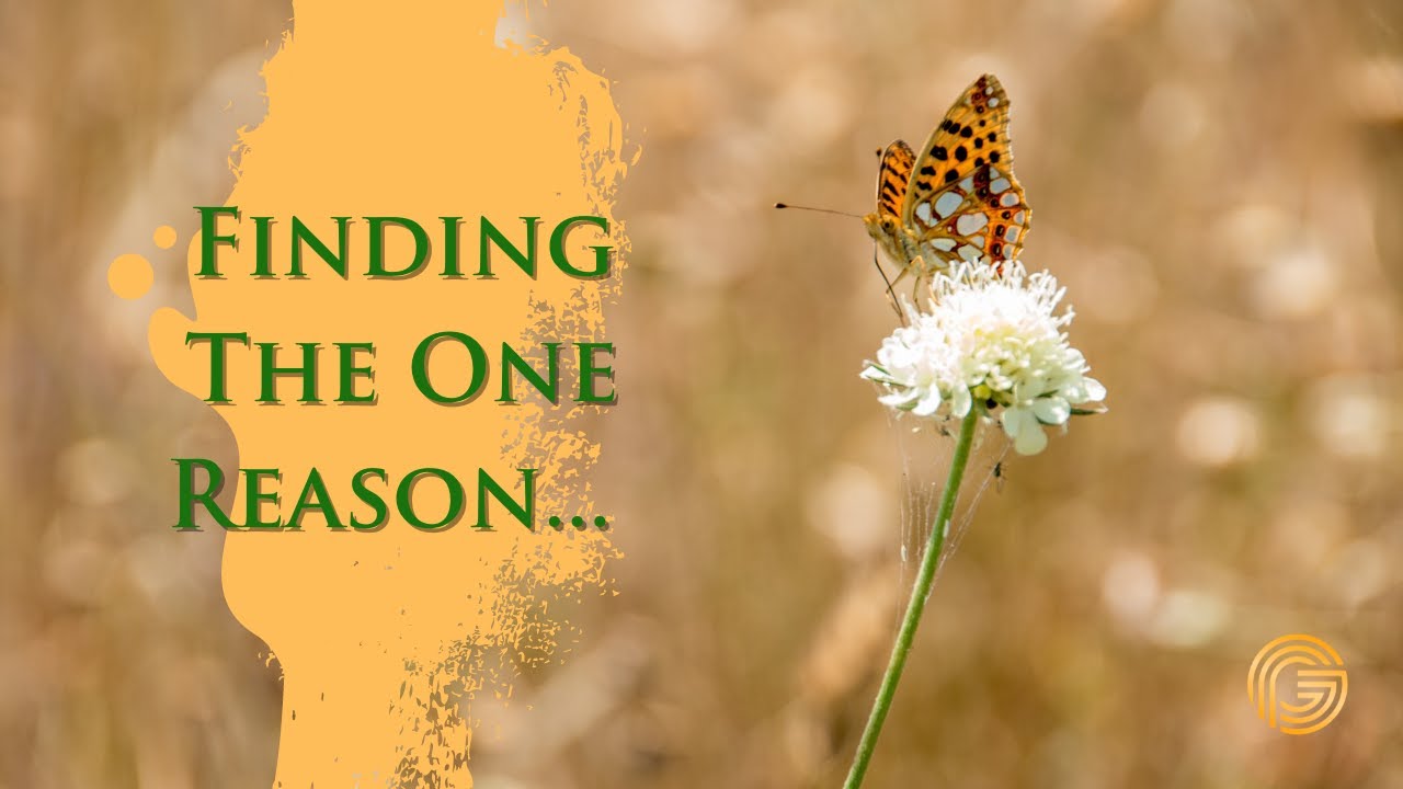 Finding The One Reason ... - YouTube