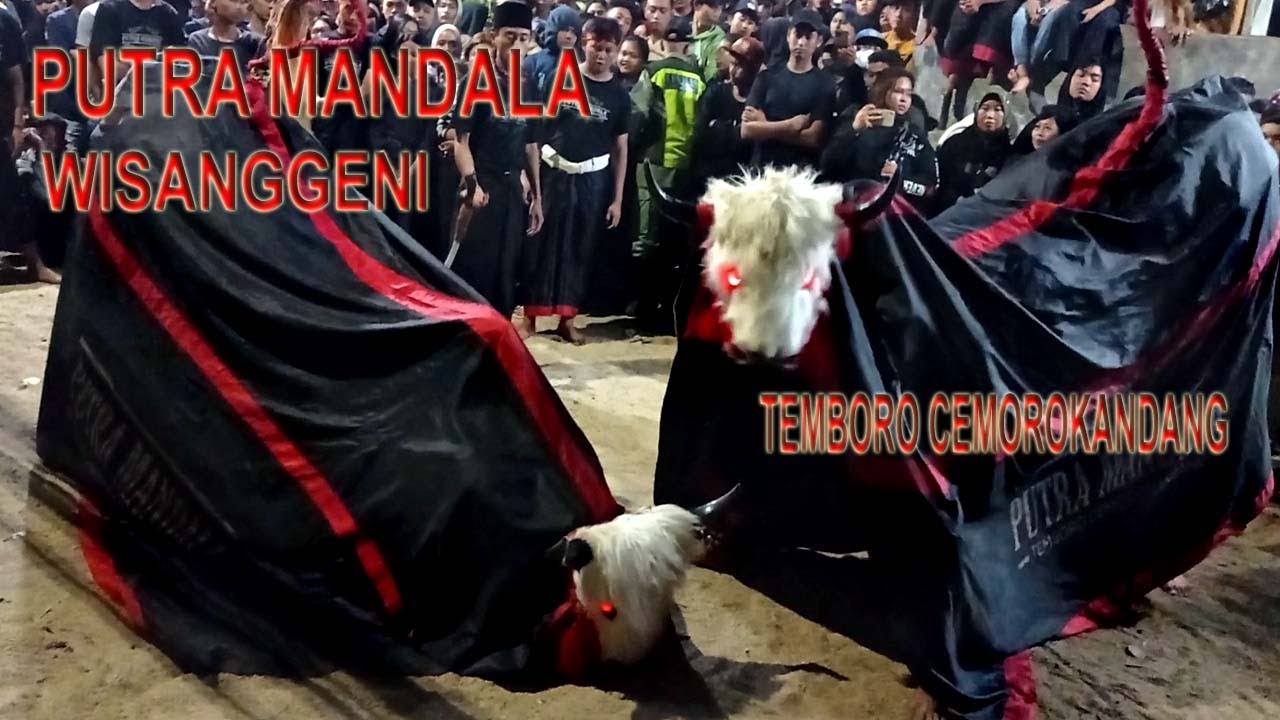 PUTRA MANDALA WISANGGENI Part 3 || KIRAB BANTENGAN TEMBORO ...