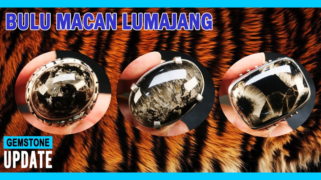 GEMSTONES UPDATE 27092024 - BATU BULU MACAN LUMAJANG - BASALTIC TIGER ...