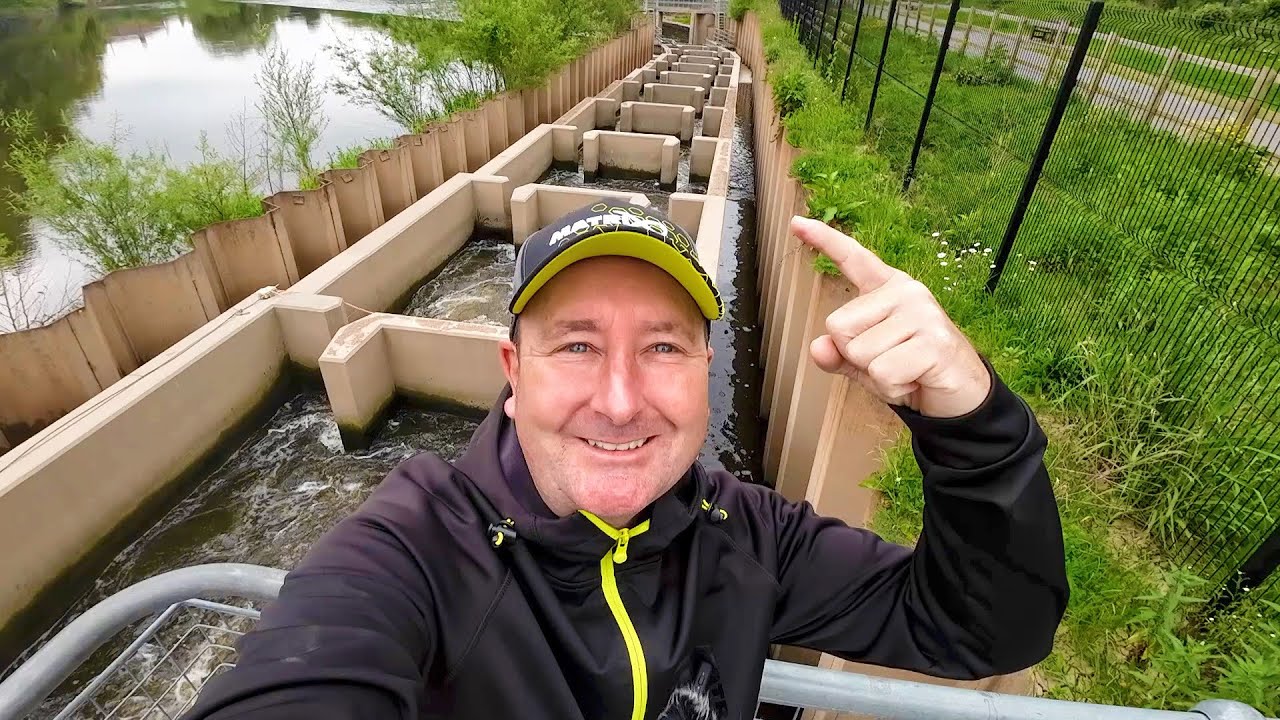 This fish ladder is amazing! - YouTube