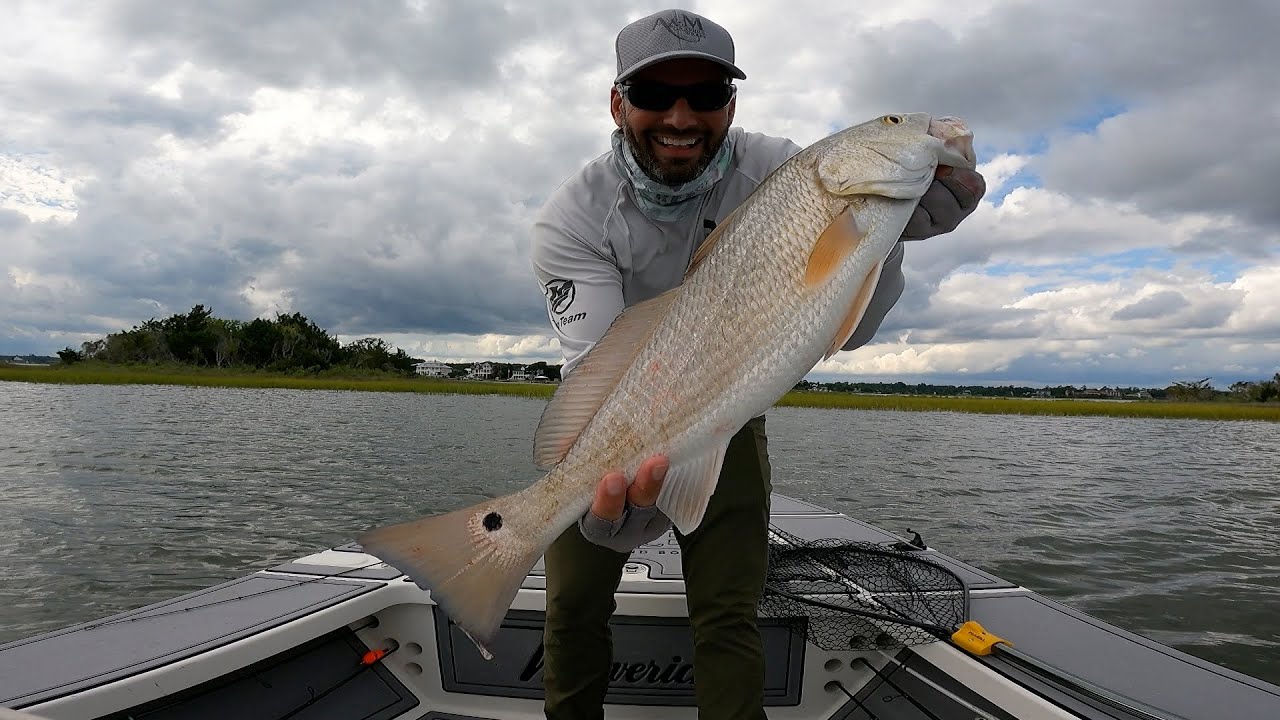 AGGRESSIVE Red Drum (REDFISH) in North Carolina - YouTube