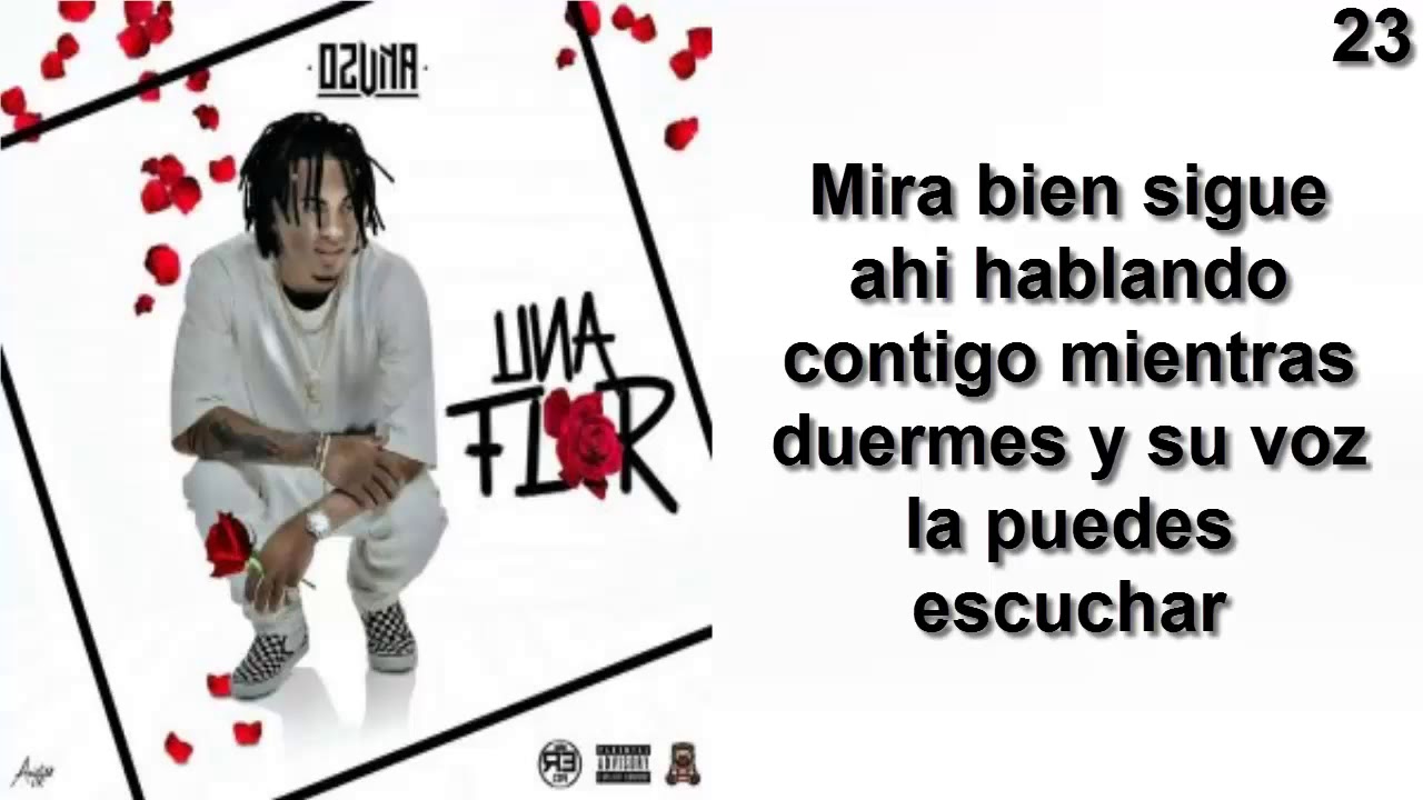 OZUNA UNA FLOR LETRA - YouTube