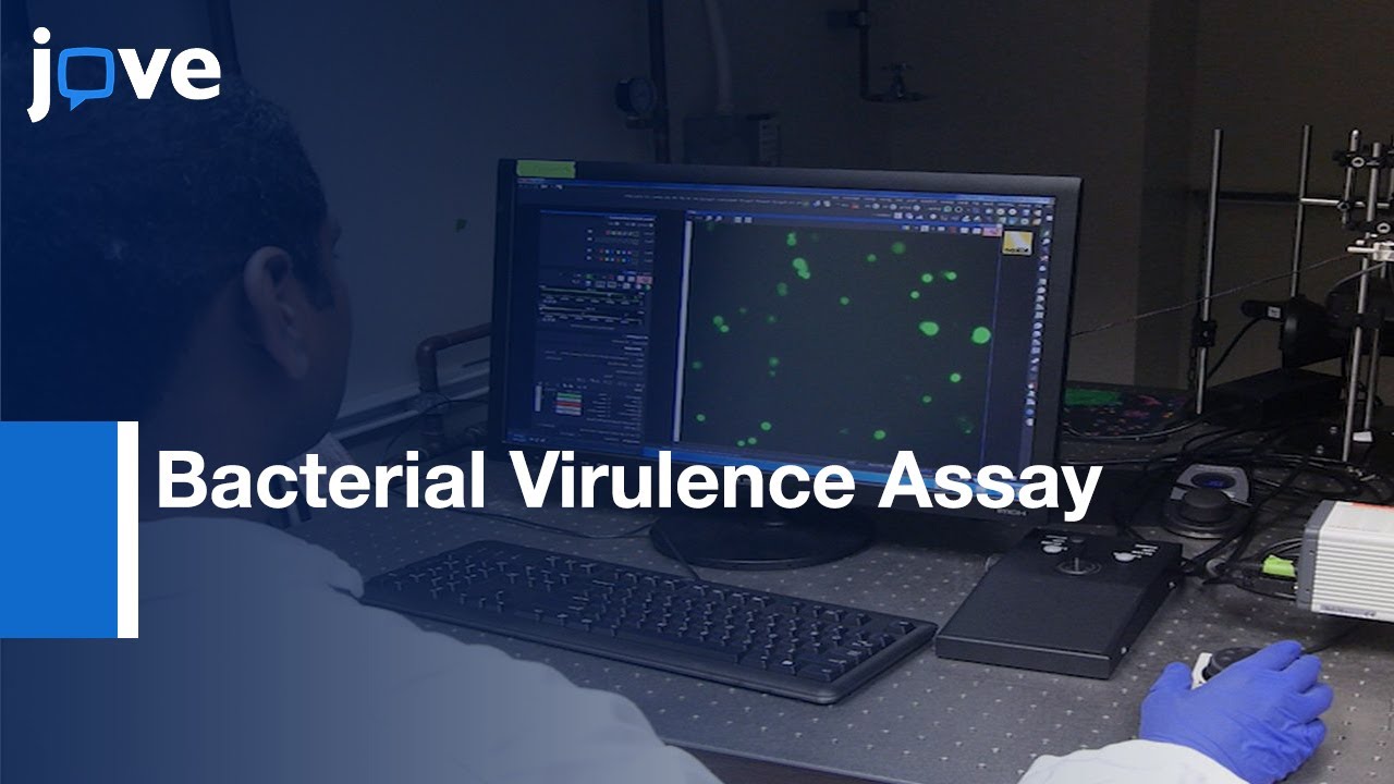 Rapid Image-Based Bacterial Virulence Assay Using Amoeba l Protocol ...