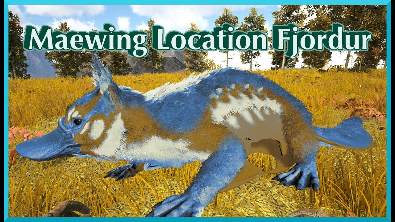 Where to find Maewing Ark Fjordur - YouTube