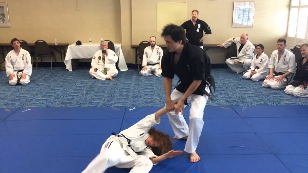 Hapkido Throwing Techniques
