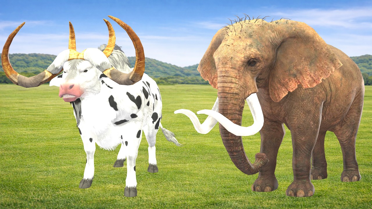 2 Zombie Bulls Vs Elephant Save Baby Elephant who Tries to Help Cow and ...